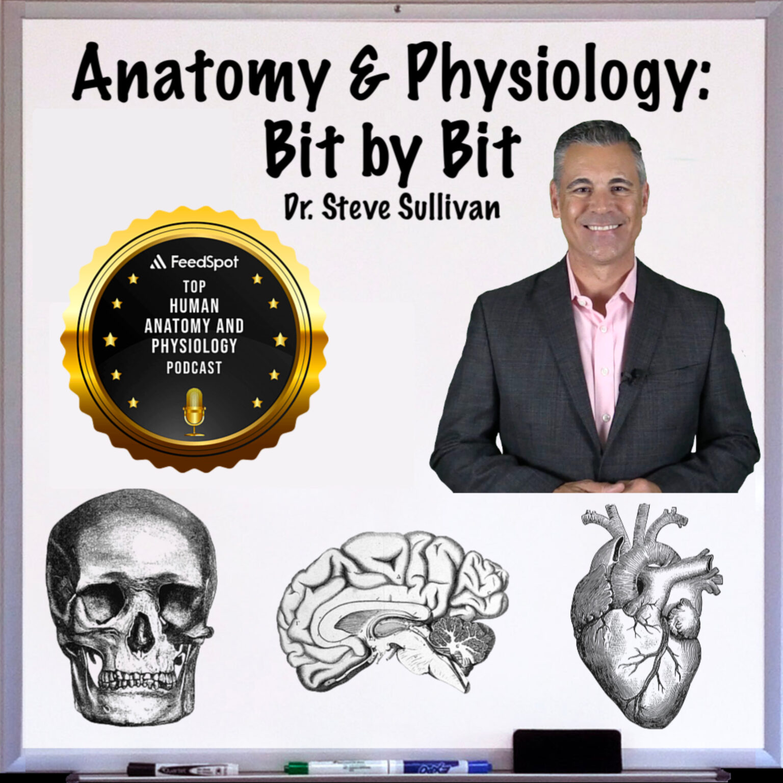 Anatomy and Physiology - Bit by Bit: REBOOT: Cells and Their Plasma ...